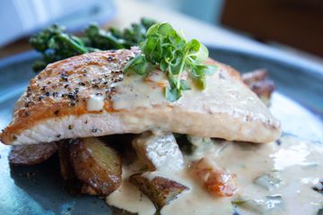 Taste Italian Kitchen TASTE Starkville | Toast