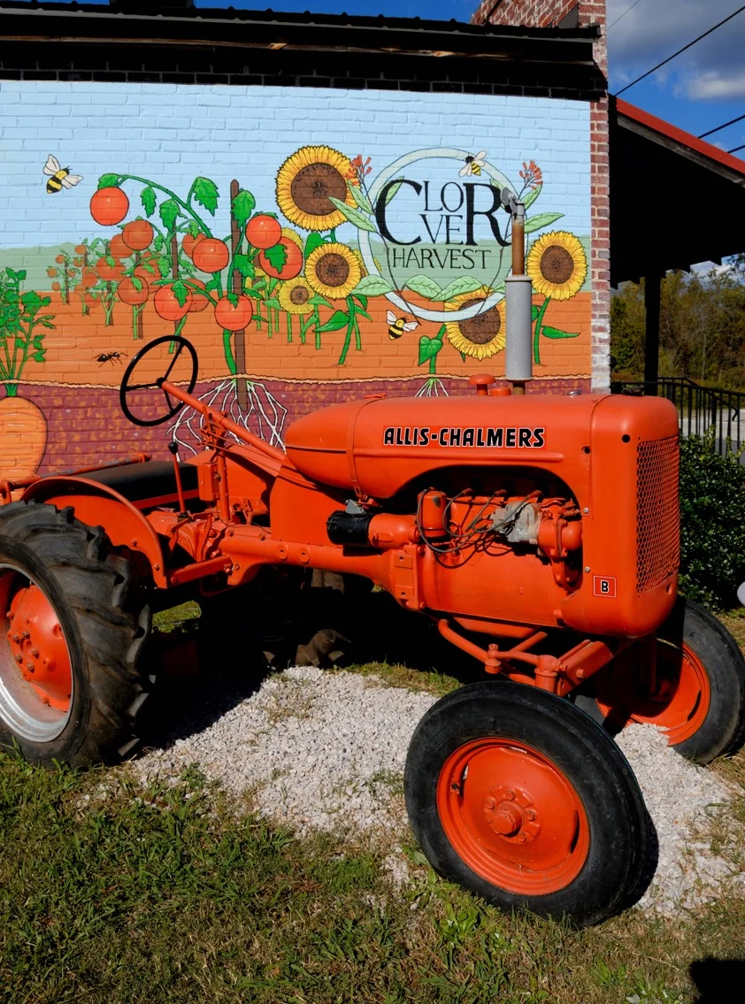 Clover Harvest - Clover Harvest: Farm-to-Table Dining in Clover, SC ...