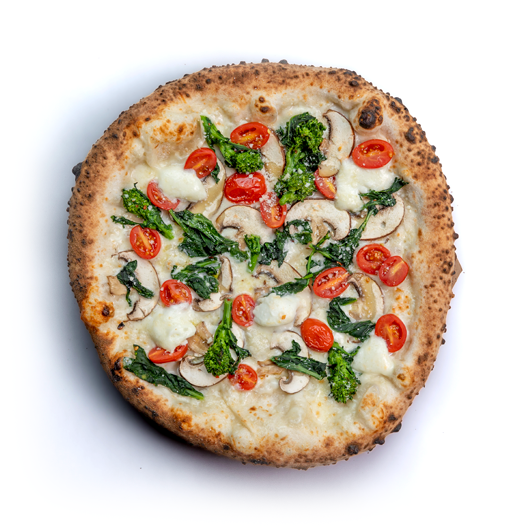 Fort Mill - MARGHERITA