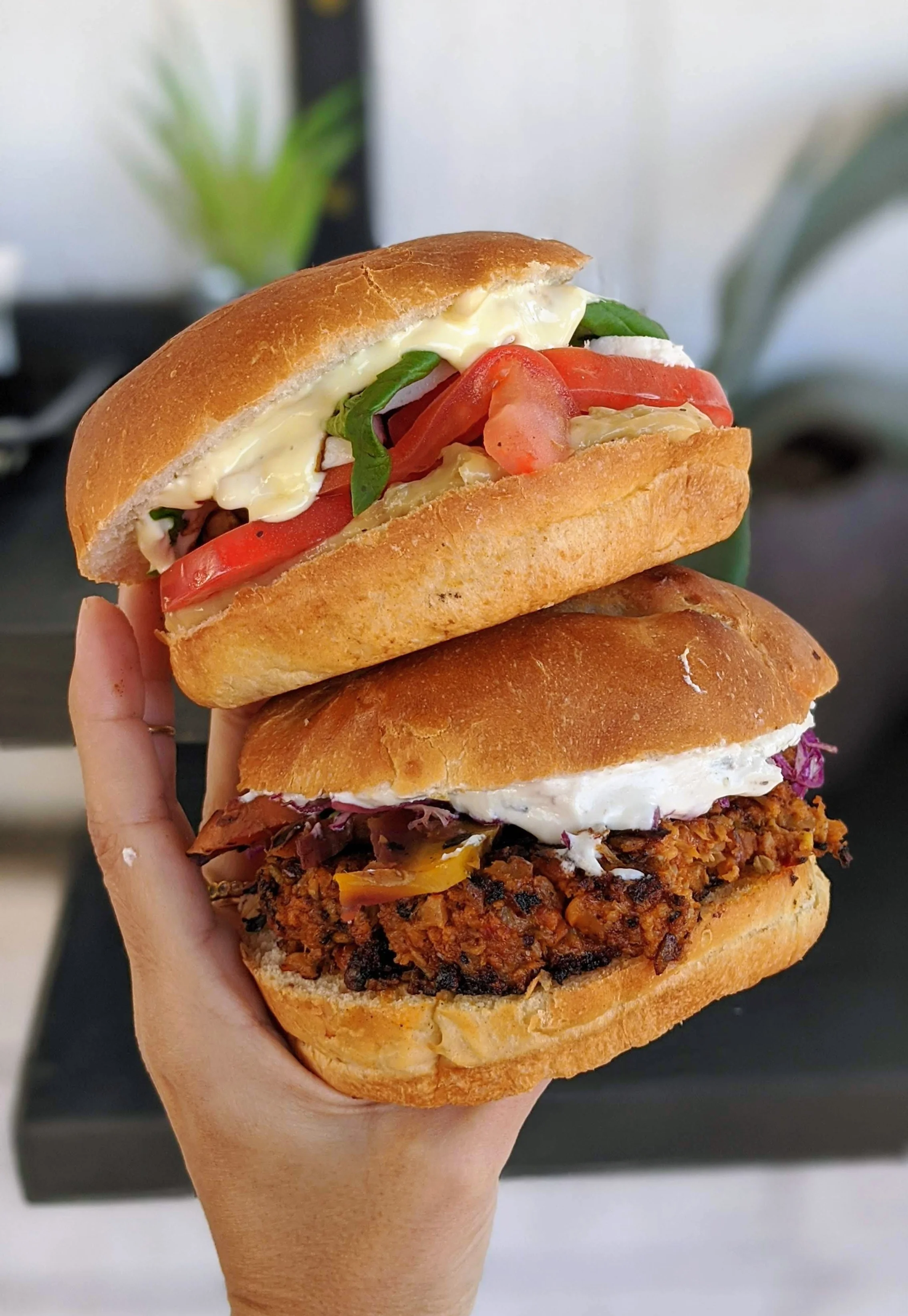 Austin Daily Press – Scratch-Made Tortas, Tacos & Bowls in East Austin