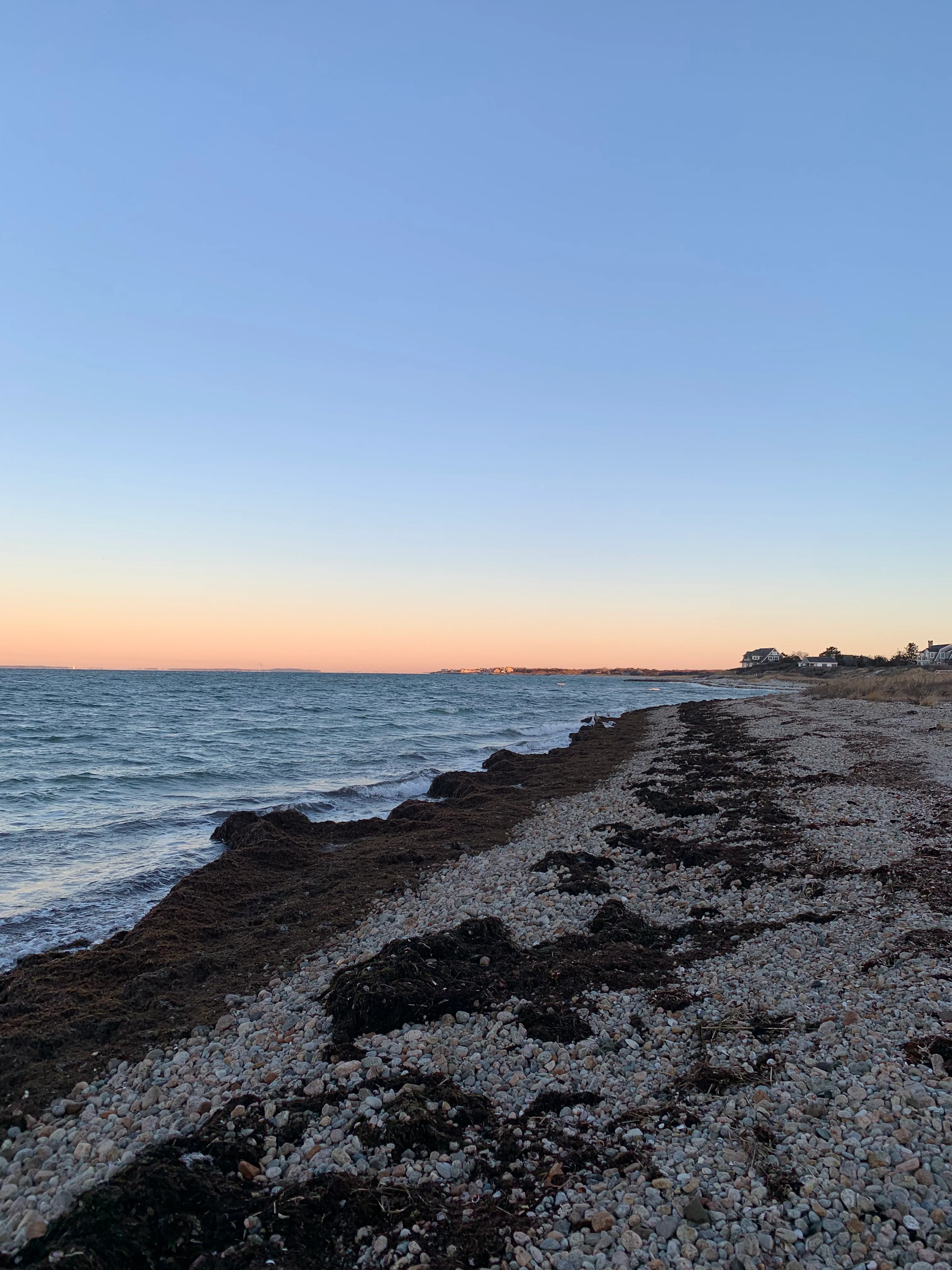 - Falmouth Hospital - Cheetos 2.5 Oz puffs