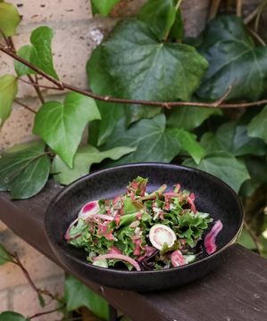 Novo Restaurant & Lounge - (G1) Macanita "Mac"