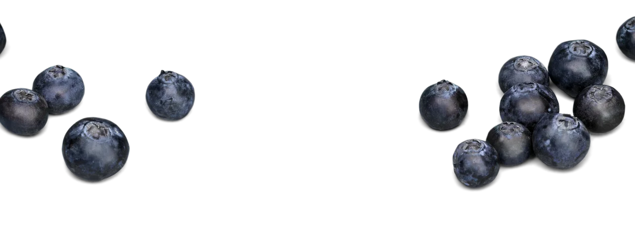 704 E Stuart Drive - Lean & Green