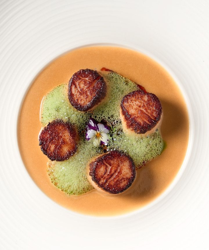 Bardea Food & Drink | Toast