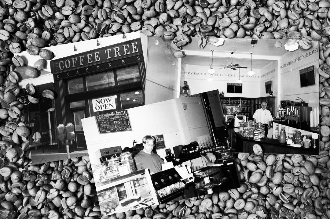 coffee tree roastery