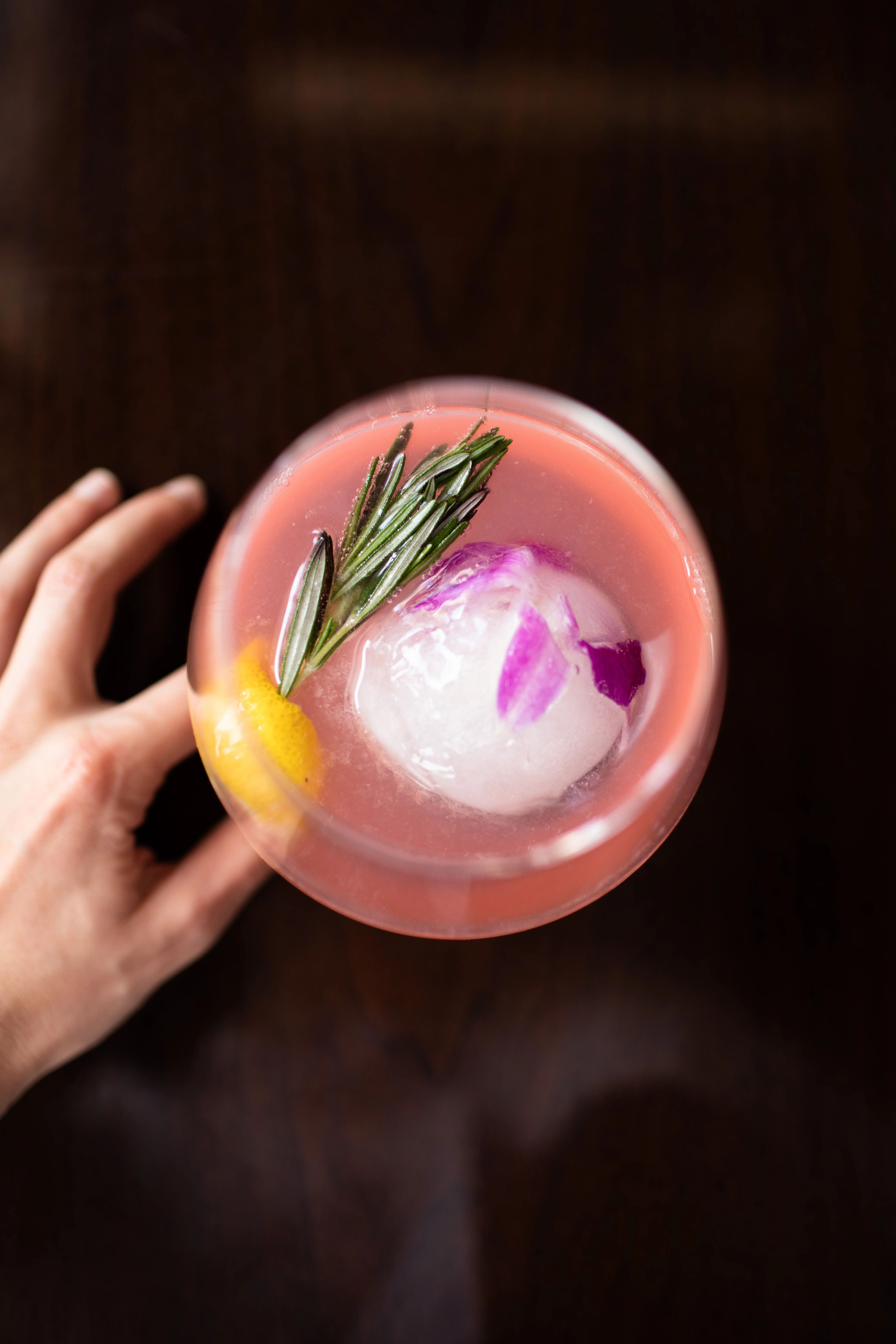 SER Restaurant | Spanish Tapas, Paellas, Wines in Arlington, VA