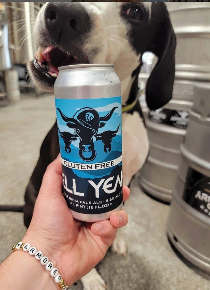 Armored Cow Brewing Co. - Taster/Judge