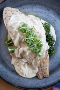 Taste Italian Kitchen TASTE Starkville | Toast