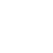 Curtsy's Café & Burger Bar