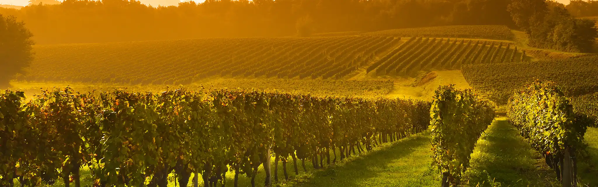 Tanger Outlets - Salmon Toscano