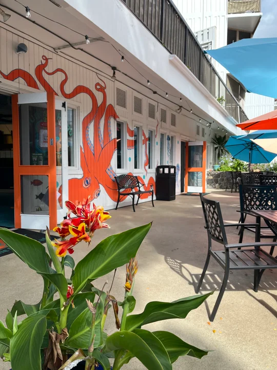 Hungry Honu - Vanilla Soft Serve