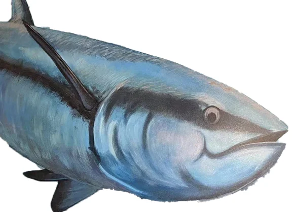 Toro Sushi - Bento Box C