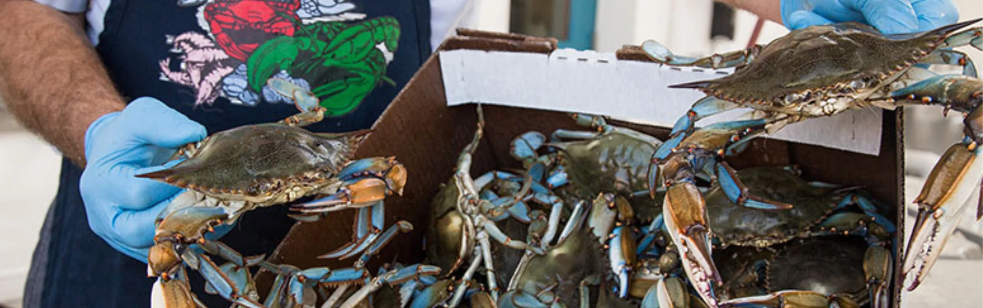 Mr. Bill's Fresh Seafood & The Fat Crab Cafe - Special! Medium Snow ...