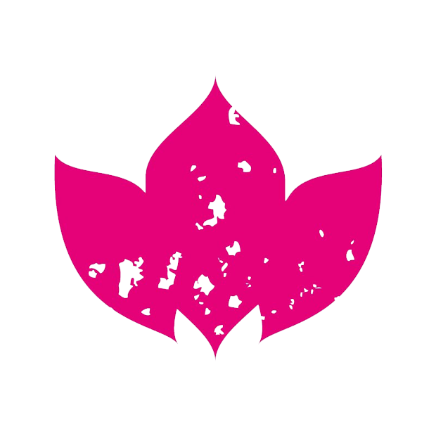 Bomba Taco - Malvern | Toast