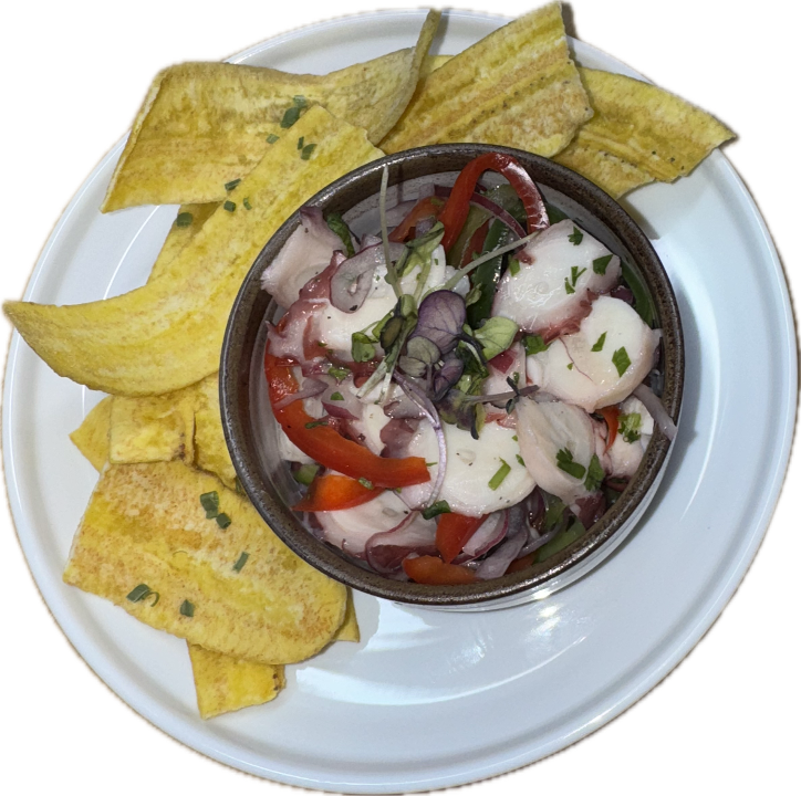 T-Zone Criollo - Espeto Fire Picanha