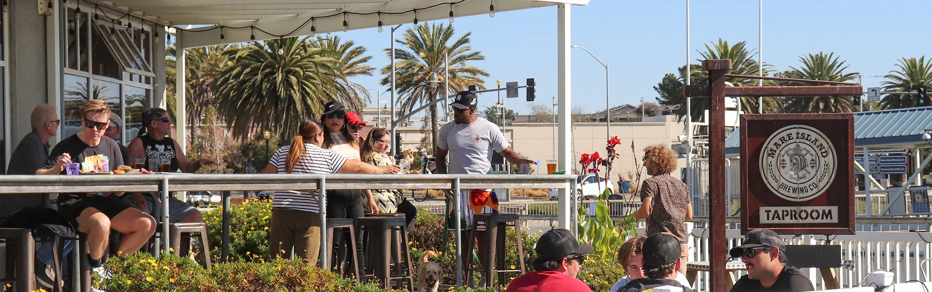 Mare Island Brewing Co - Ferry Taproom - Chile Verde Tacos