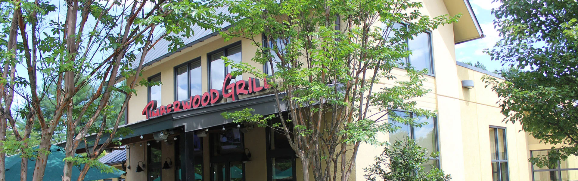 Forest Lakes - Sycamore Transfusion Cider 16oz Can