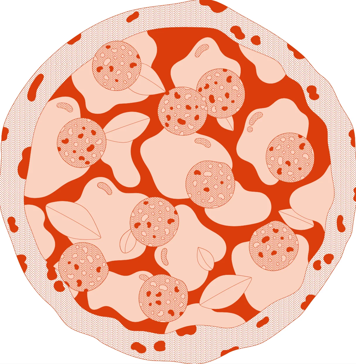 Cosetta - Sand Dabs Milanese