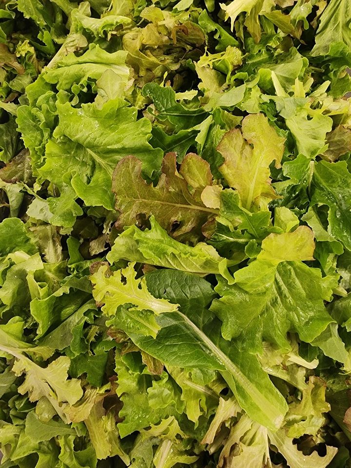 WesleyLife Meals on Wheels - 12 Week Membership: Weekly 2 oz Package