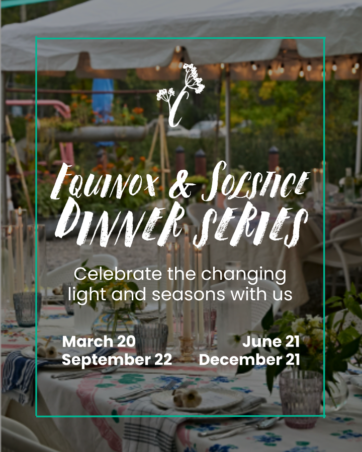 at Fisherman's Marina - Golden Hour