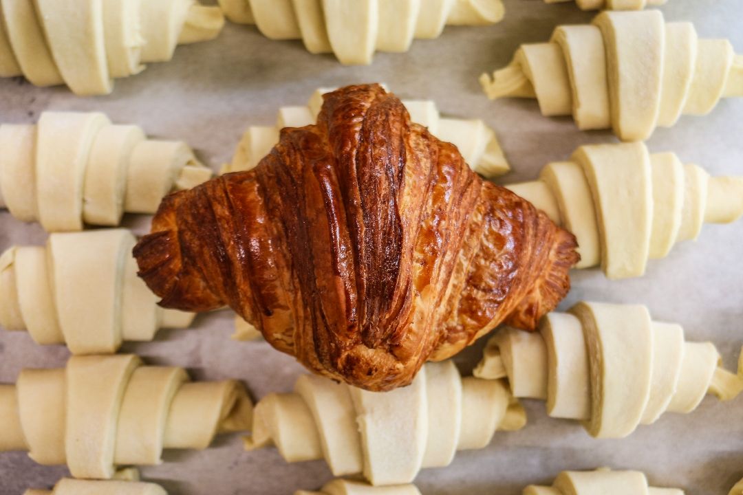 301 SW Water Street - Cream Cheese & Cranberry Brioche