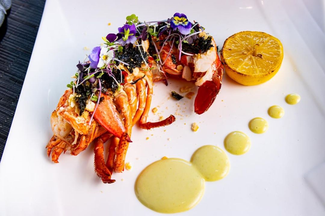 Kashi Bellmore NEW - Red Snapper Sa