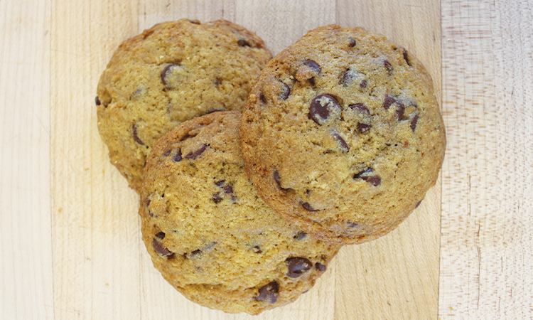 Two Fat Cats Bakery Lancaster Street | Toast