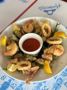 2250 Coral Way - Fanta Orange