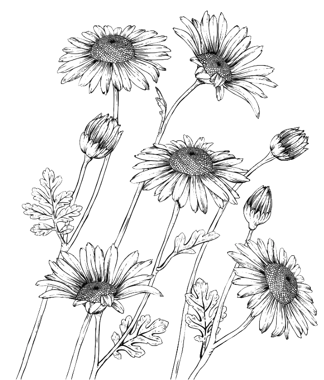 1100 Hector Street, Suite 110 - Seasonal Saffron Risotto