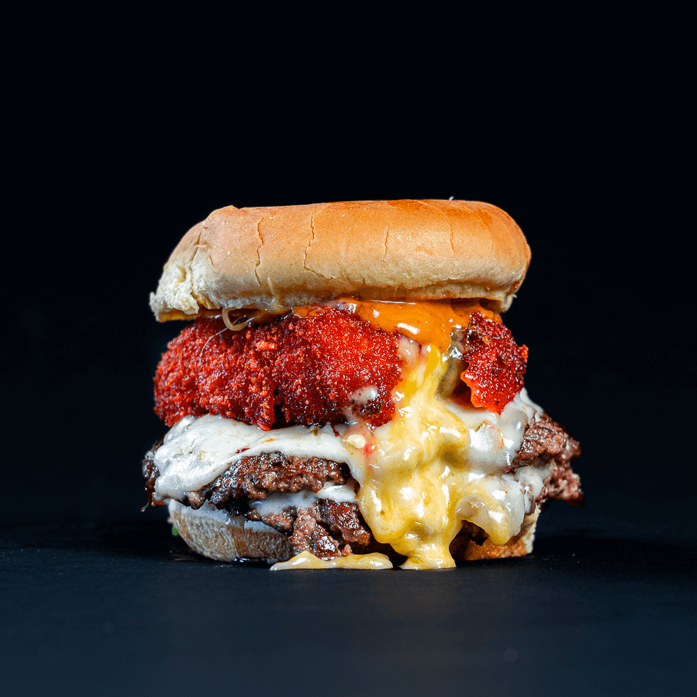 Burger Rock - Lorton - TRASH CAN FRIES