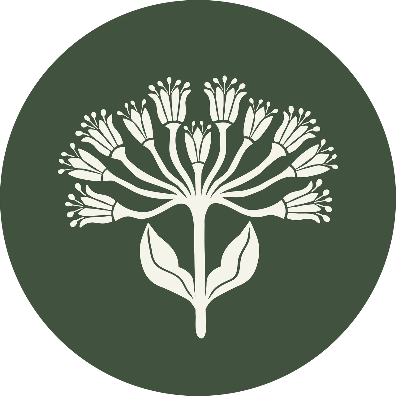 93 W Main St - Daily Rise - Wilderness Blend