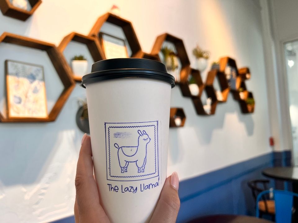 The Lazy Llama-McDonough(Ola) | Toast