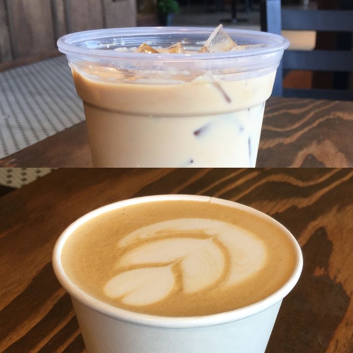 Uncommon Coffee - Scone, Lemon Ginger (V)