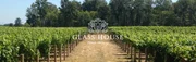Glass House Estate Winery - Snowy Trees Horizontal