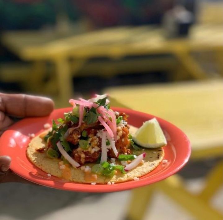 Cholo Soy Cocina - GRILLED SWORDFISH TACO