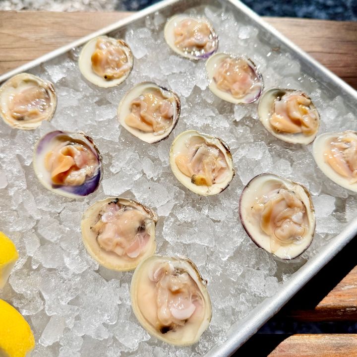 Mac's Fish House Provincetown - Potato Crusted Cod