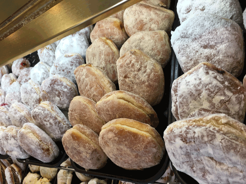 5578 State Rd - Paczki - 1/2 Dozen Assorted