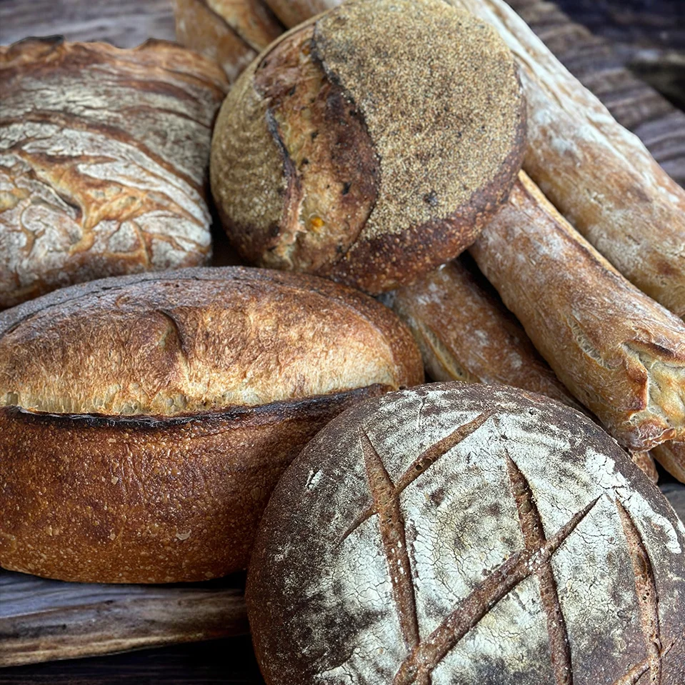 The Stutz - Holy Cow Beef Salami Sticks