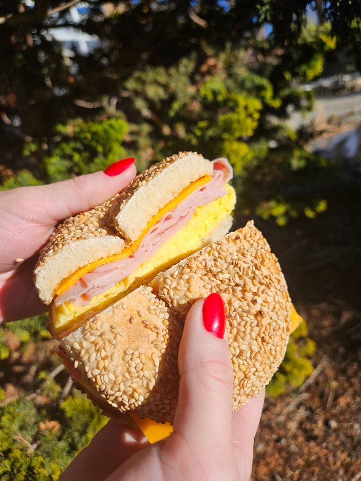 Ani's Bagel Cafe 12 Hampton Rd. Unit A - Little Italy