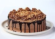 Gusto Italian Grill 130 Westmorland Street - GUSTINI 12 Pack