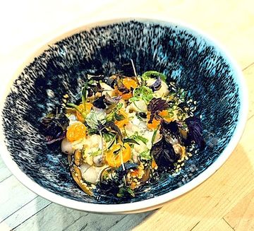 Nautilus - Boston - Peking Inspired Duck