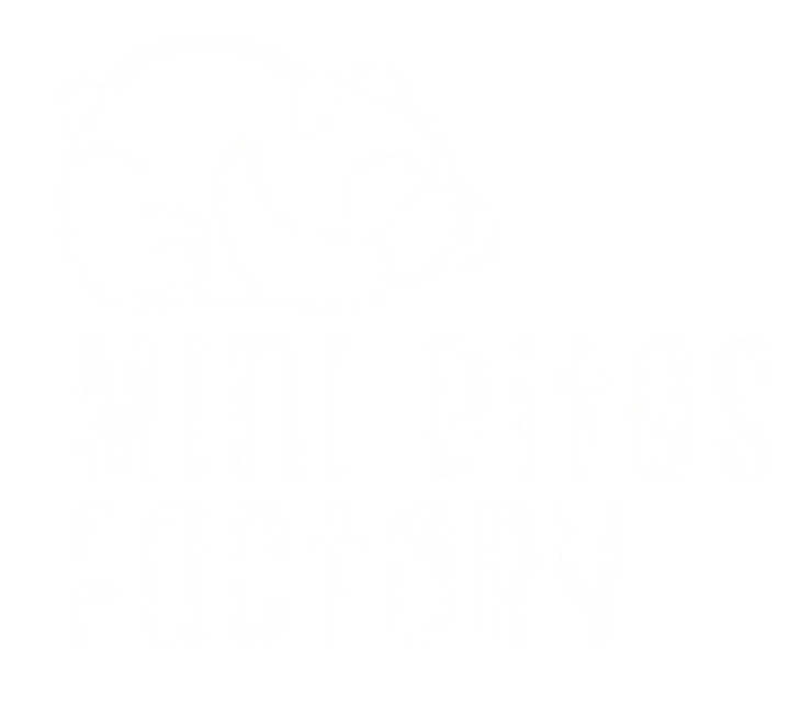 Mini Bites Factory