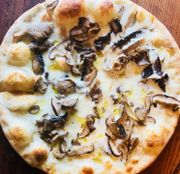 Aurora Italian Restaurant & Pizza Kitchen - Roarin' Crab CUP