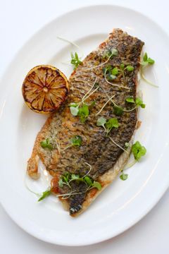 Midtown -Crave Fishbar & Crave Sushi Bar | Toast