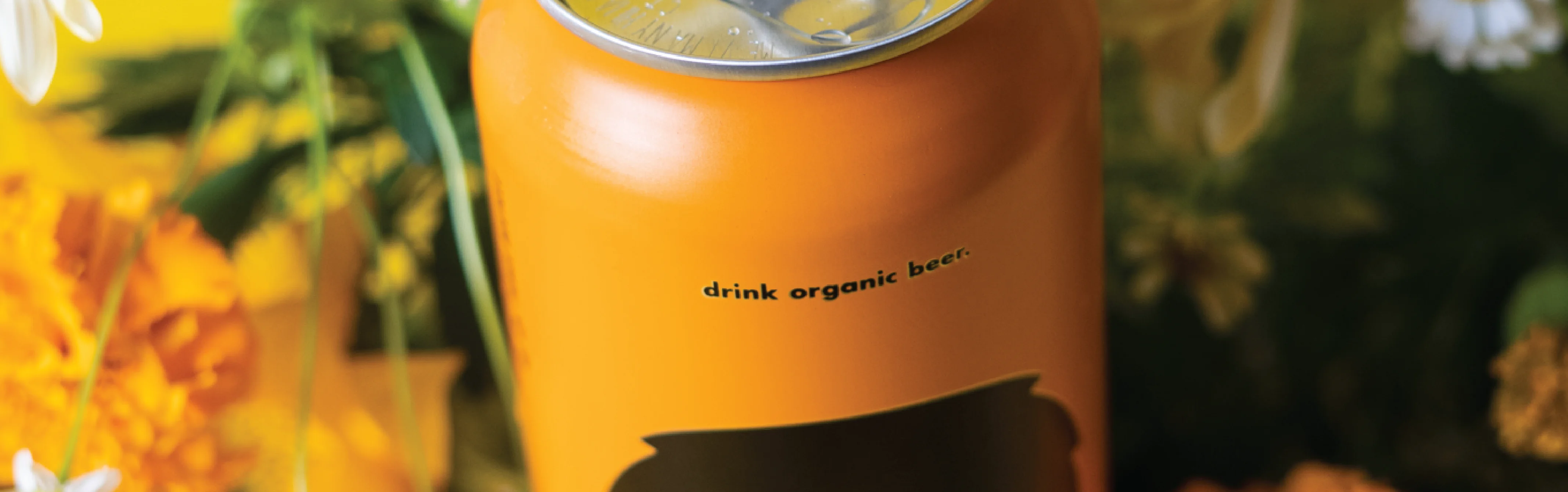 Bellingham - Single Can Elevenses