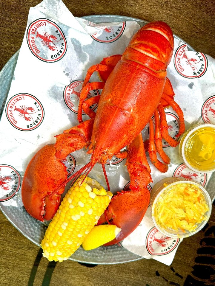 Bar Harbor Lobster Pound - CLAM CHOWDER