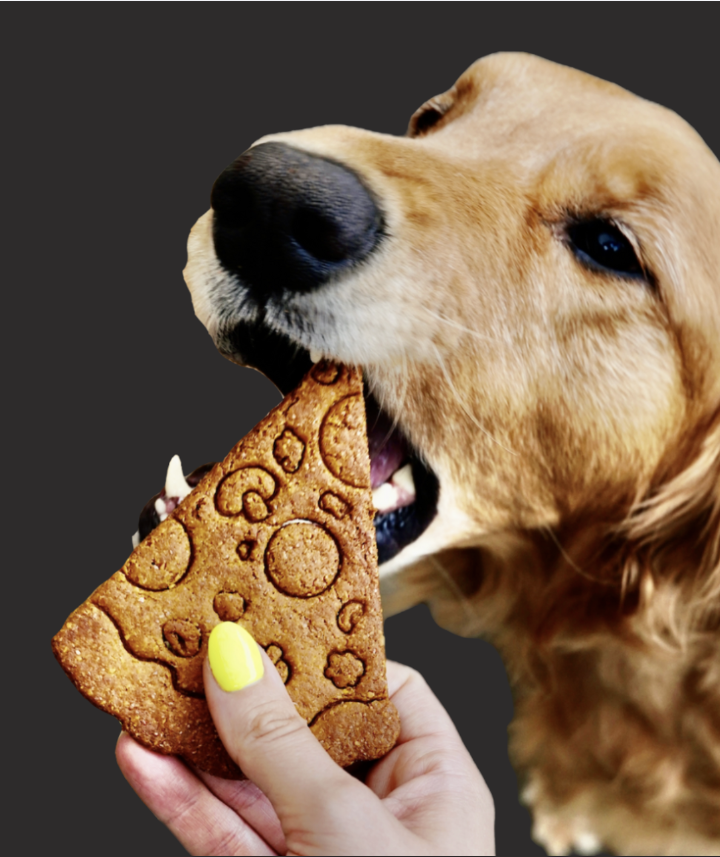 Bee Cave - 20" Terry Blacks Breakfast Brisket