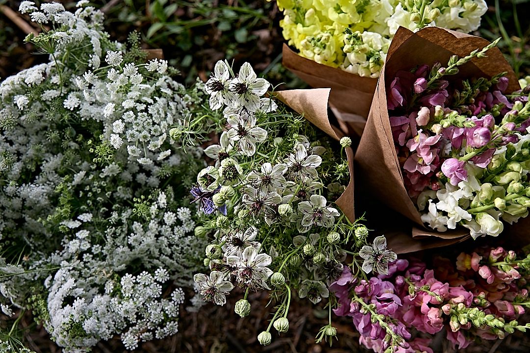 at Fisherman's Marina - Roasted Carrot Sammie