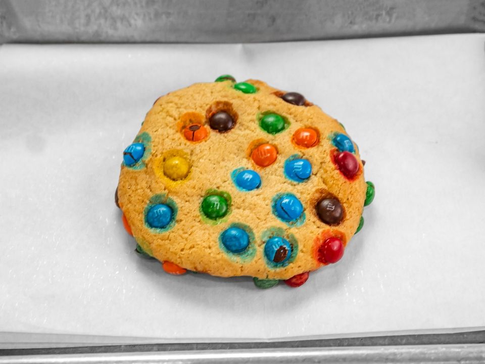 1537 Cecil B Moore Ave - OATMEAL ORANGE CRANBERRY