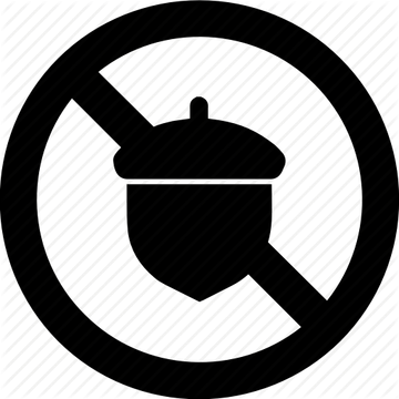 Nic's Trattoria 1 Springhurst Drive | Toast
